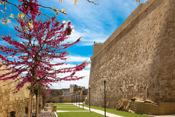 Gozo and Comino Islands: Blue Lagoon, Crystal Lagoon & Caves - Tour Conditions and Considerations