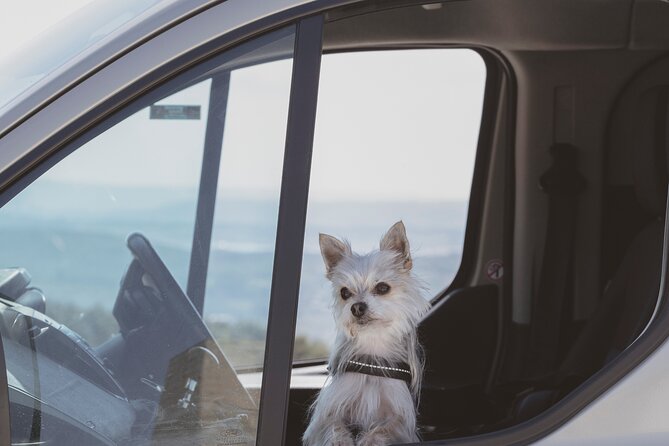 Gozo Highlights Tour in a Comfortable Private Vehicle - Positive Customer Feedback