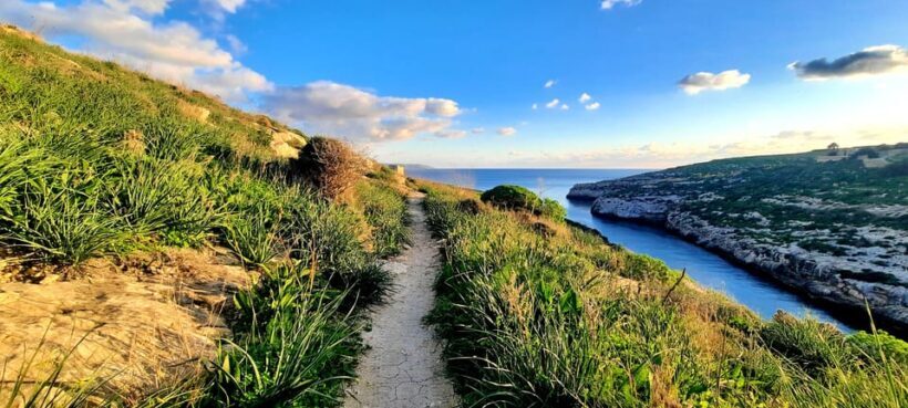 Gozo Unveiled: Guided Hiking in Gozo - South East - What’s Included and What to Consider