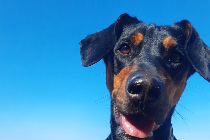 Gozo Unveiled - Hiking in Gozo - Pricing and Booking Information