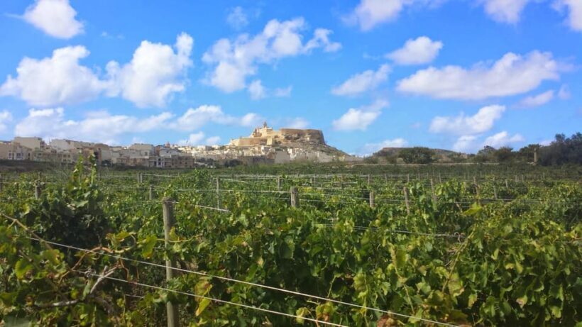 Gozo Victoria Walking Tour - Who Should Consider This Tour?