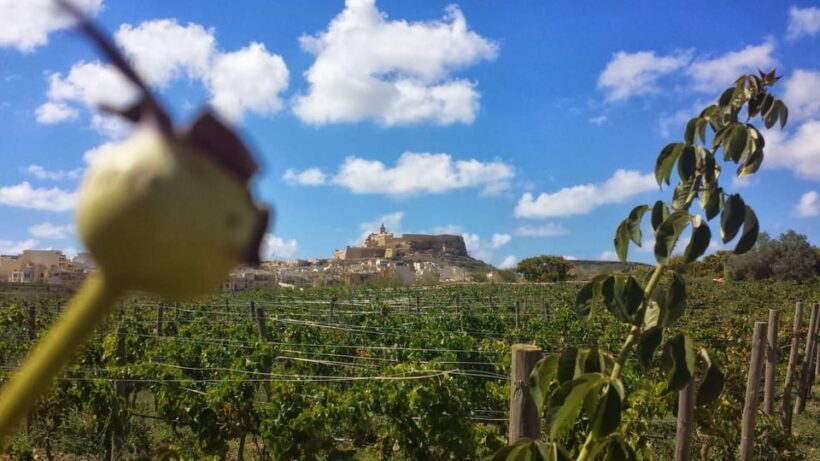 Gozo Victoria Walking Tour - FAQs
