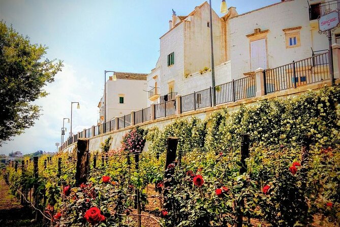 GPS Self guide Locorotondo+Alberobello + tasting in the vineyard - What Travelers Can Expect