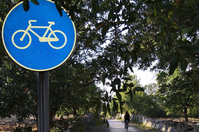 GPS Tour With E-Bike on Cycleroute of Acqueduct Pugliese With Wine Tasting Directly in Vineyards - Tour Accessibility and Participation