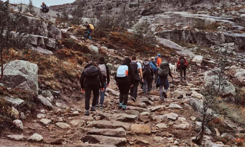 Grampians: Day Tour  Waterfalls, MacKenzie Fall, & Wildlife - Who Would Enjoy This Tour?
