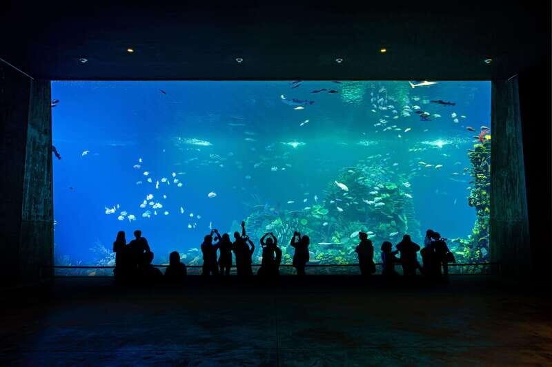 Gran Acuario Mazatlan - Key Points