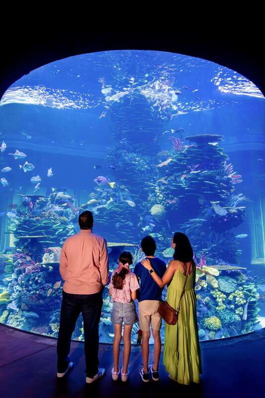 Gran Acuario Mazatlan - Discovering Mazatlan’s Underwater World