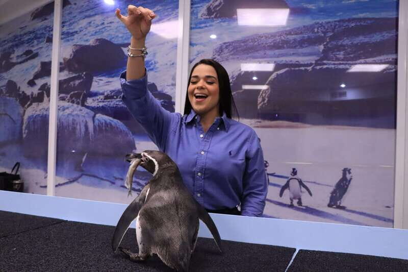 Gran Acuario Mazatlan - Who Will Love Gran Acuario Mazatlan?
