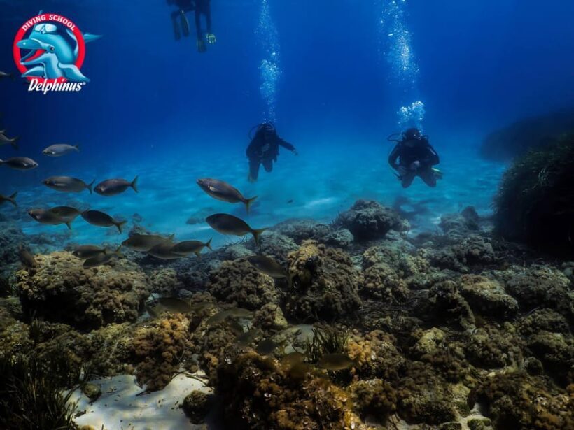 Gran Canaria: 3-Day Open Water Diver Course - Practical Considerations