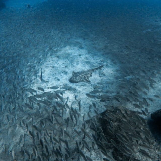 Gran Canaria: 3-Day Open Water Diver Course - Who Will Love This?
