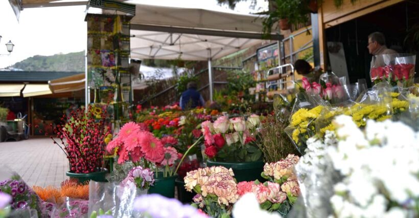 Gran Canaria: 3 Traditional Markets in One day - Key Points
