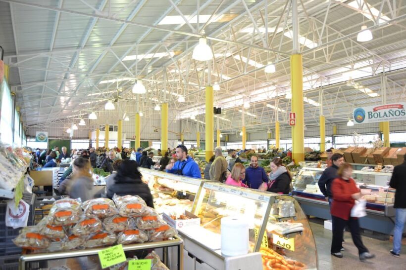 Gran Canaria: 3 Traditional Markets in One day - Who Should Consider This Tour?