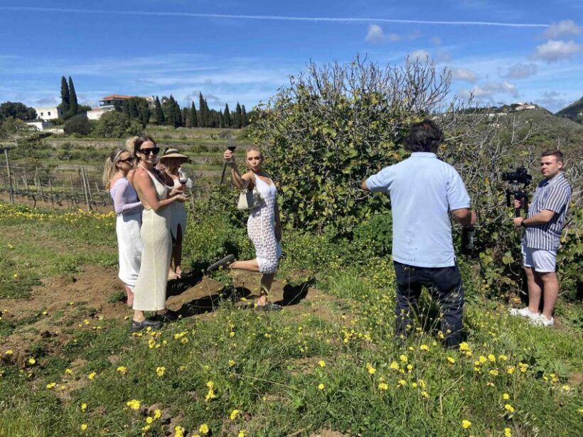 Gran Canaria: Best Wineries and Views Tour - Authentic, Fun, and Highly Rated