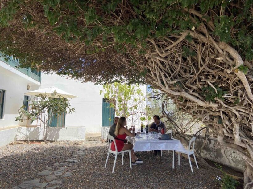 Gran Canaria: Best Wineries and Views Tour - Who Will Love This Tour?