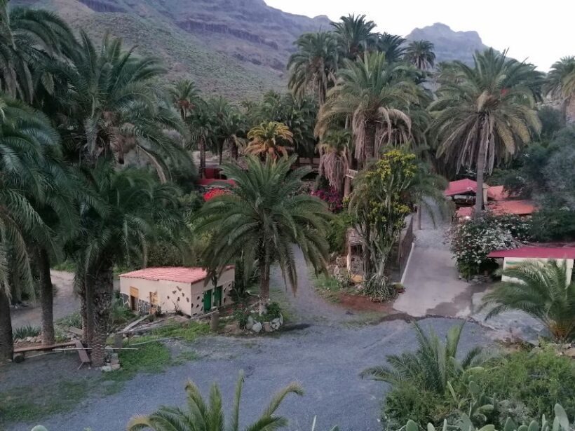 Gran Canaria: Camel Ride at Camel Safari Park - Who Will Love This Experience?