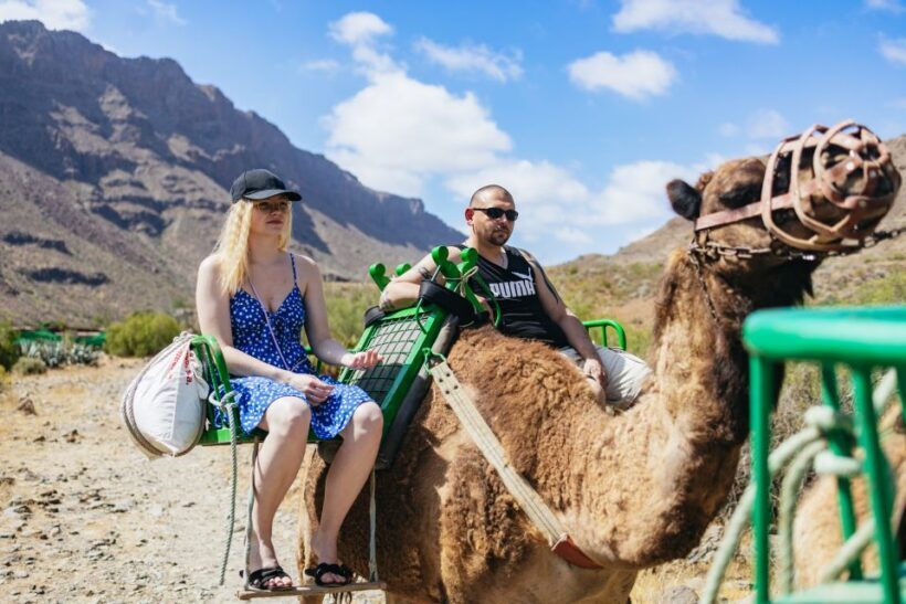 Gran Canaria: Camel Ride Safari w/ Optional Food & Transport - Who Should Book This Tour?