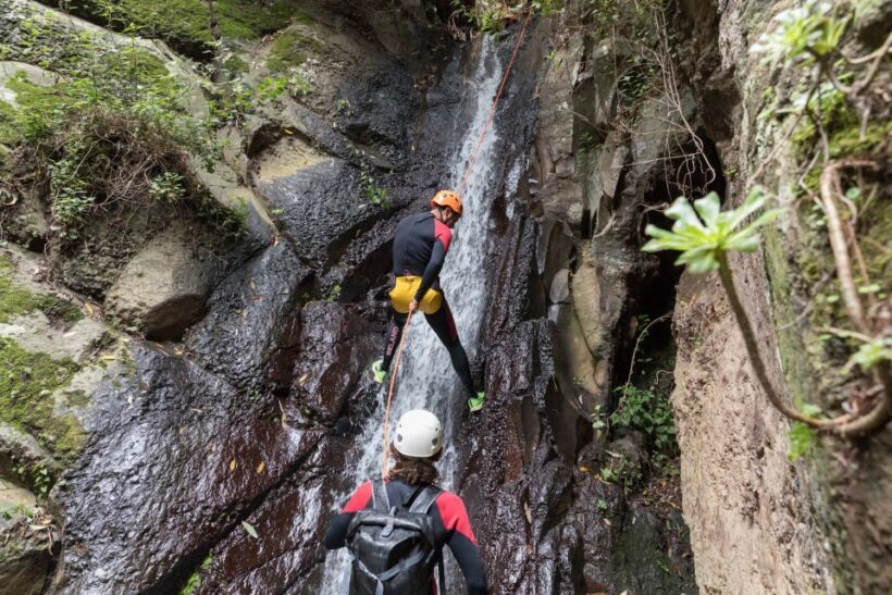 Gran Canaria: Canyoning in the Rainforest - Practical Tips for a Smooth Experience