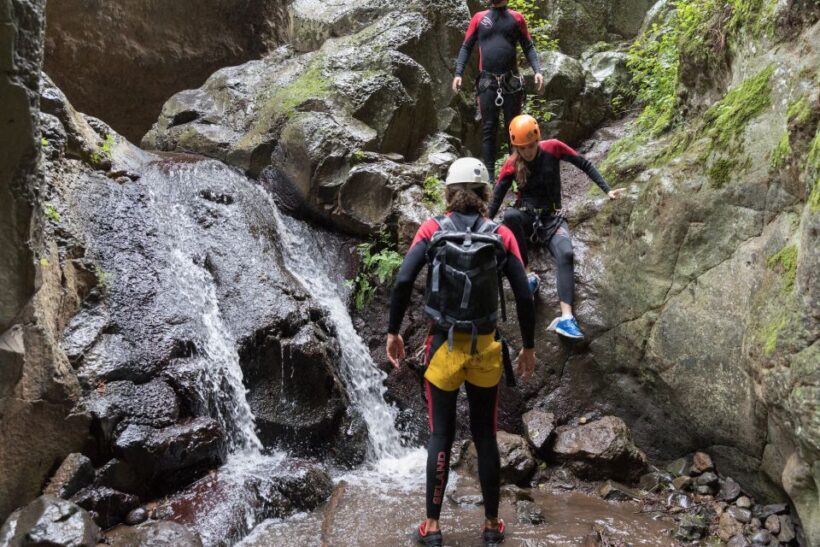 Gran Canaria: Canyoning in the Rainforest - Who Will Love This Tour?