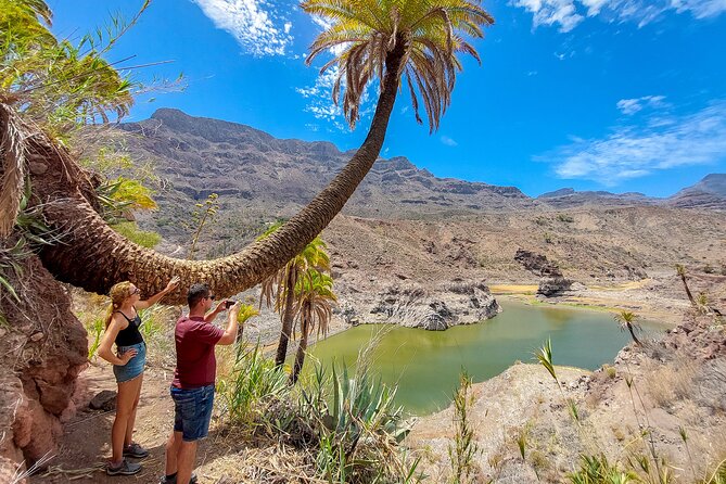 Gran Canaria Cave, Oasis, Red-gorge Adventure & cosy Picnic - Detailed Breakdown of the Itinerary