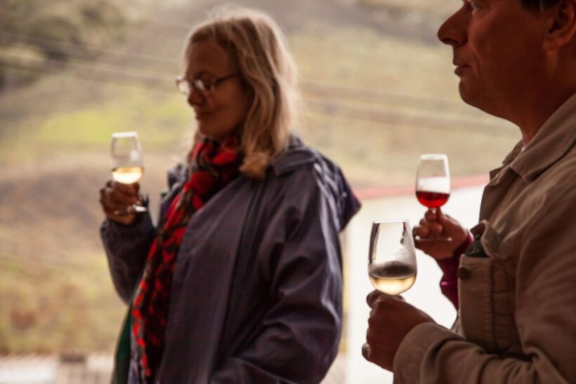 Gran Canaria: Customizable Private Tour - Exploring Gran Canaria in Depth