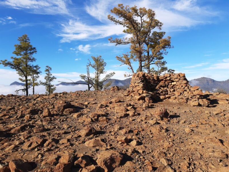 Gran Canaria: Full-Day Guided Hiking With Snacks - Who Should Consider This Tour?