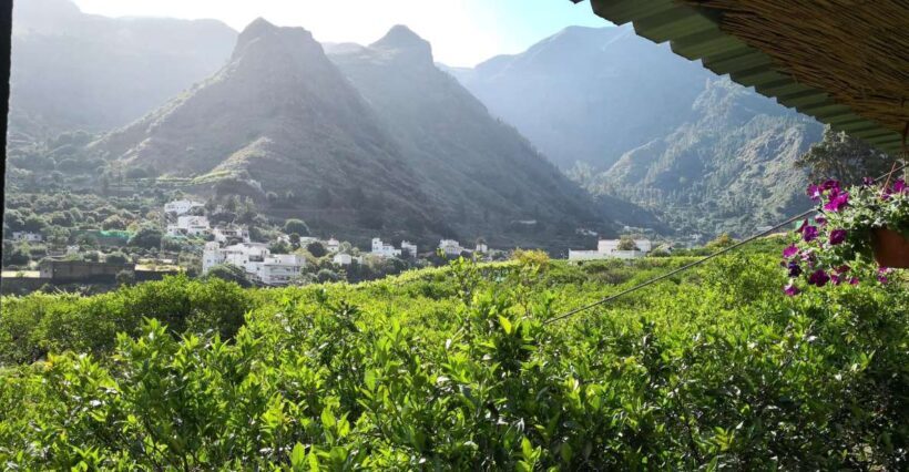 Gran Canaria: Grand Island Tour by Bus with Transfers - Who Should Take This Tour?