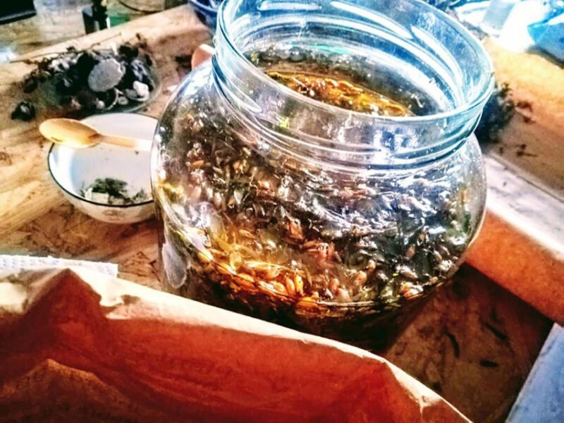 Gran Canaria: Green Witchcraft in the Magic Island - Practical Details and Tips