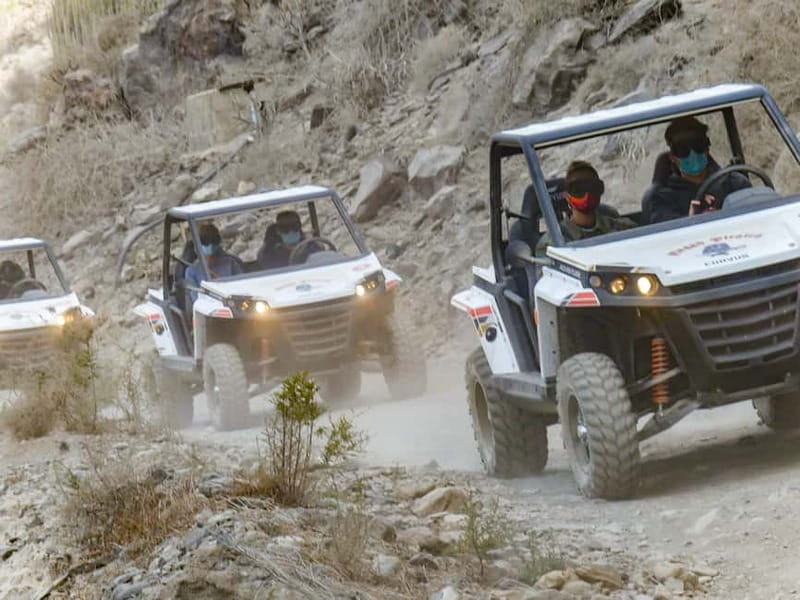 Gran Canaria Guided Buggy Tour - Key Points