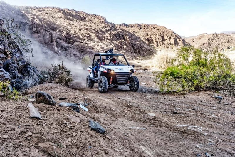 Gran Canaria Guided Buggy Tour - Who Will Love This Tour?