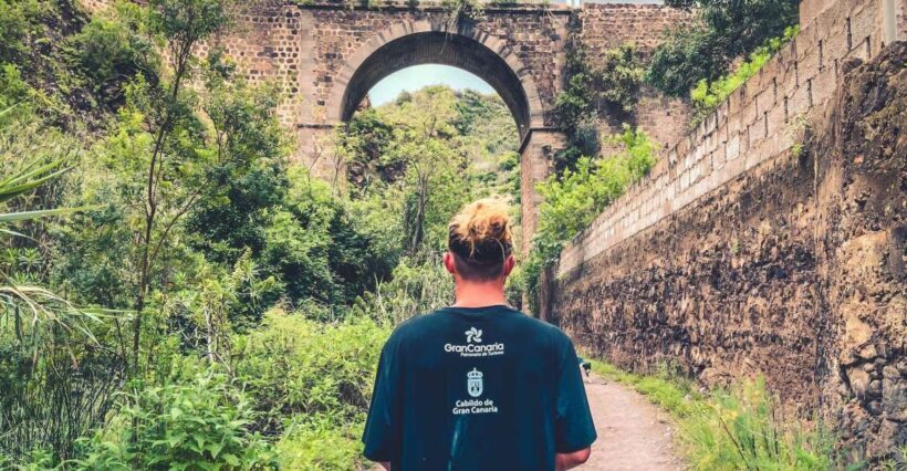 Gran Canaria: Guided Day Tour to Rainforest with Tasting - Detailed Breakdown of the Tour Experience