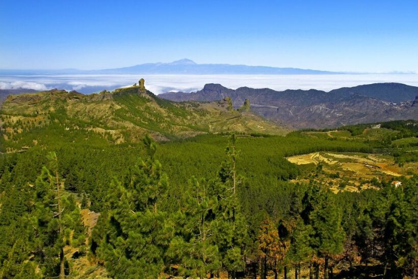 Gran Canaria Highlights Full-Day Tour by Bus - Transportation and Guide Quality