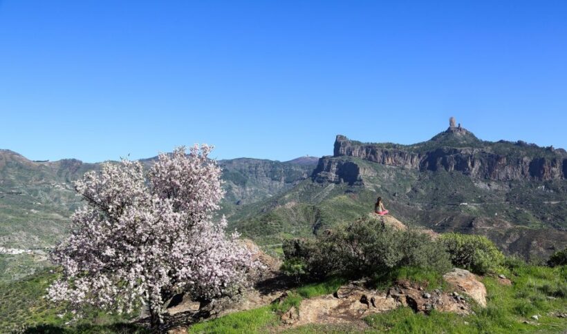 Gran Canaria Highlights Full-Day Tour by Bus - Authenticity and Cultural Insights