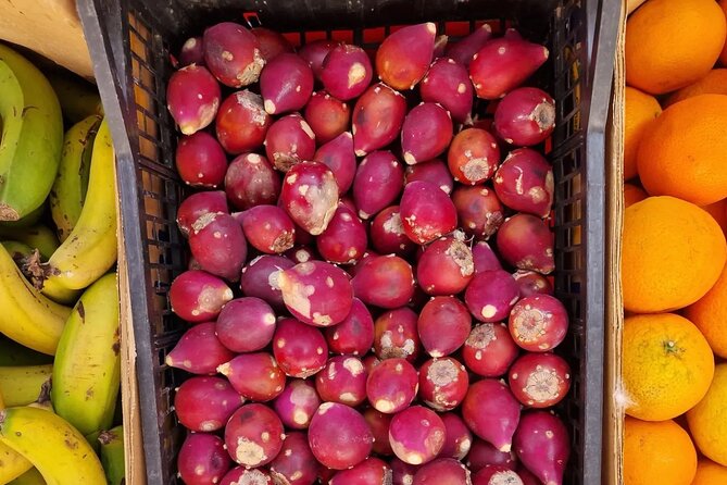 Gran Canaria Highlights Private Tour VIP - Marveling at the Valley of the Thousand Palms