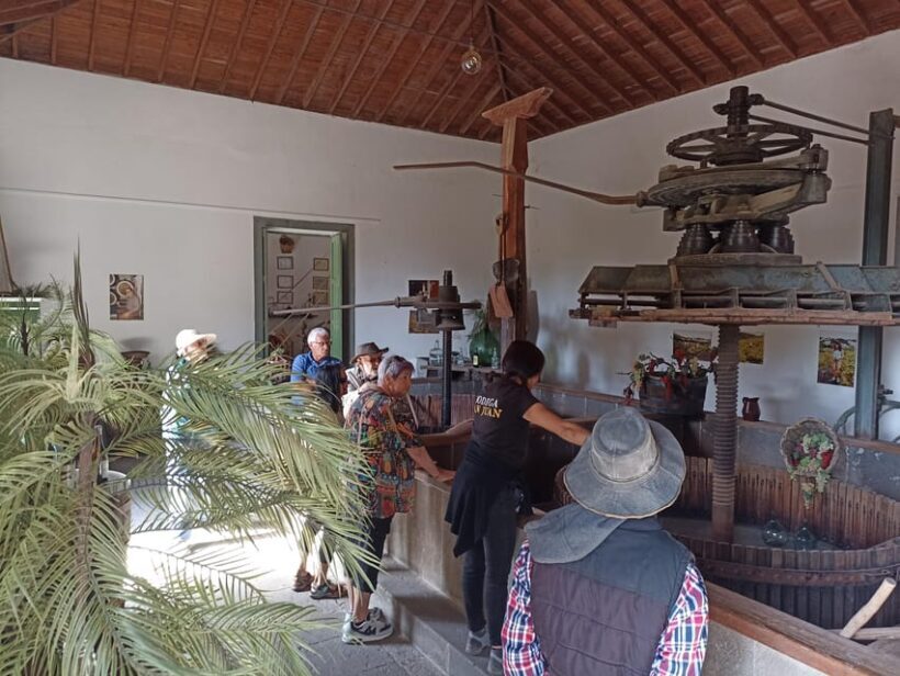 Gran Canaria: Highlights Wine Tasting Tour & shore excursion - Exploring Gran Canaria’s Landscape: Caldera de Bandama