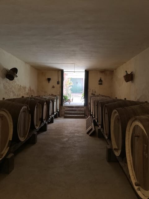 Gran Canaria: Highlights Wine Tasting Tour & shore excursion - Final Thoughts
