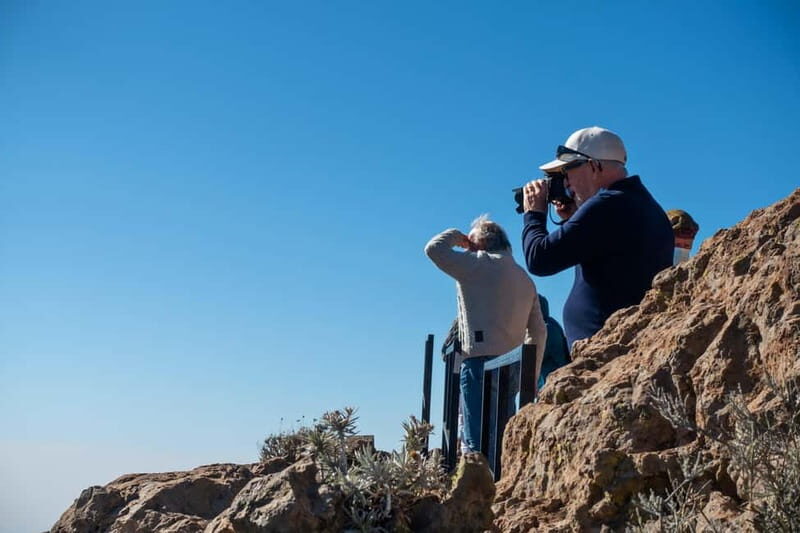 Gran Canaria: Island Highlights Tour with Optional Lunch - What Does the Tour Mean for You?