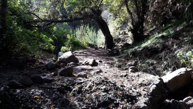 Gran Canaria: "Magic Waterfalls" Hiking Tour - Authentic, Small-Group Adventure for Active Travelers