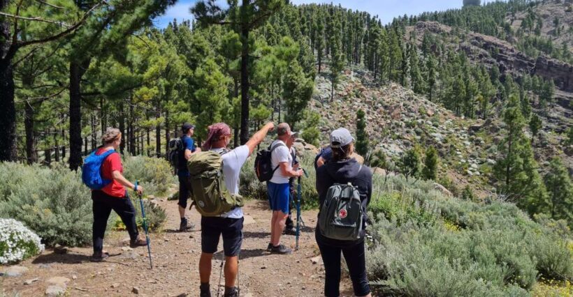 Gran Canaria: "Peaks of Gran Canaria" Hiking Tour - Key Points