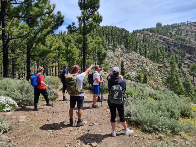 Gran Canaria: "Peaks of Gran Canaria" Hiking Tour - The Itinerary: From Scenic Trails to Local Flavors