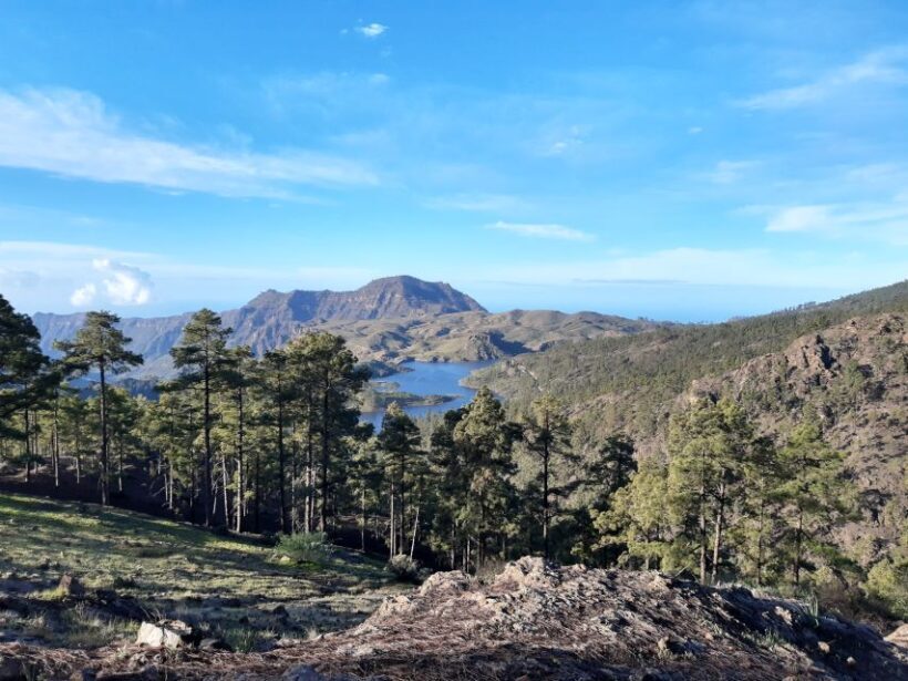 Gran Canaria: "Peaks of Gran Canaria" Hiking Tour - What the Reviews Reveal
