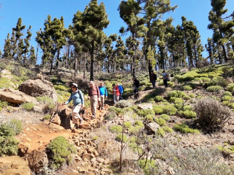 Gran Canaria: "Peaks of Gran Canaria" Hiking Tour - FAQ
