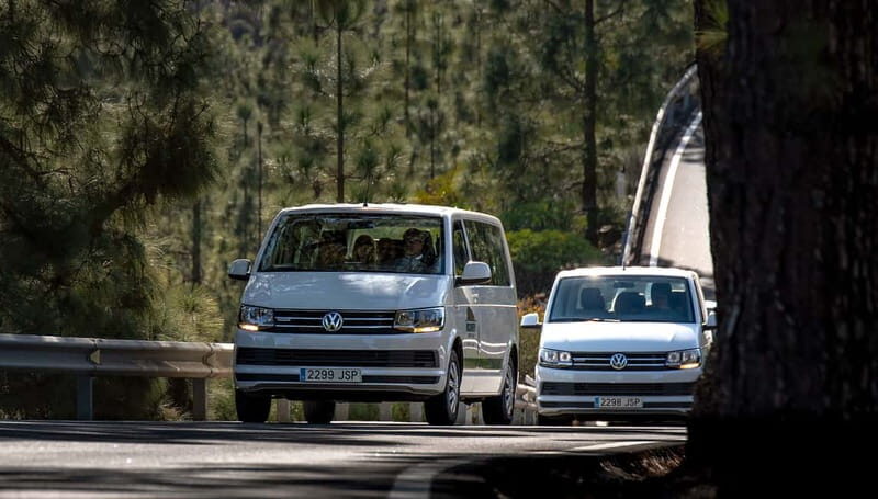 Gran Canaria: Rural Villages Guided Sightseeing Tour - Who Will Love This Tour?