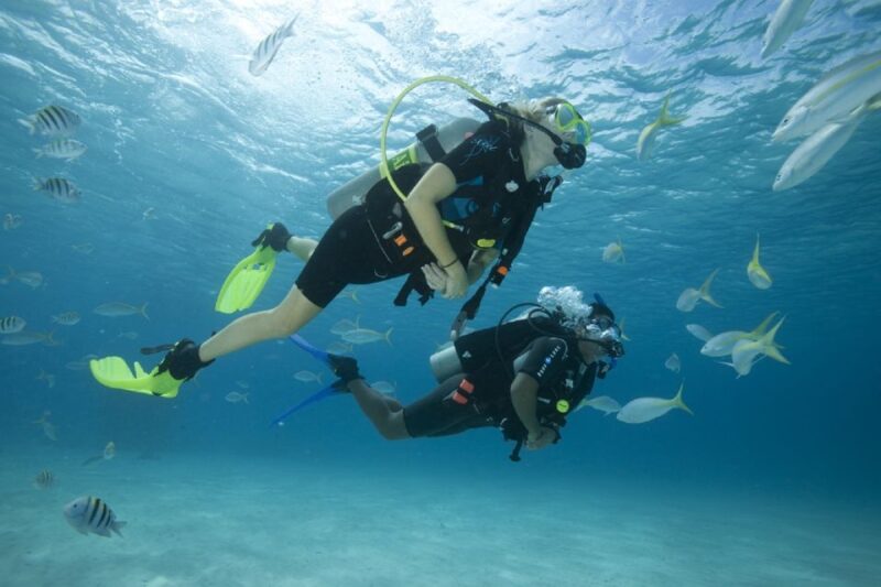Gran Canaria: Scuba Diving for Beginners - The Value of This Experience