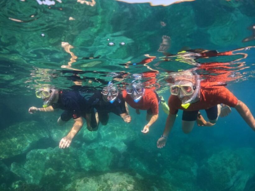 Gran Canaria: Snorkel tour with boat on the west coast - Key Points