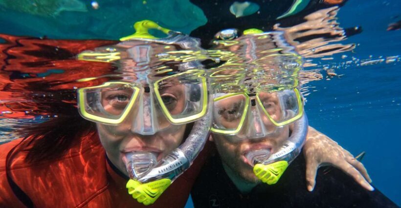 Gran Canaria: Snorkel tour with boat on the west coast - Snorkeling in a Sea of Fish and Colorful Creatures