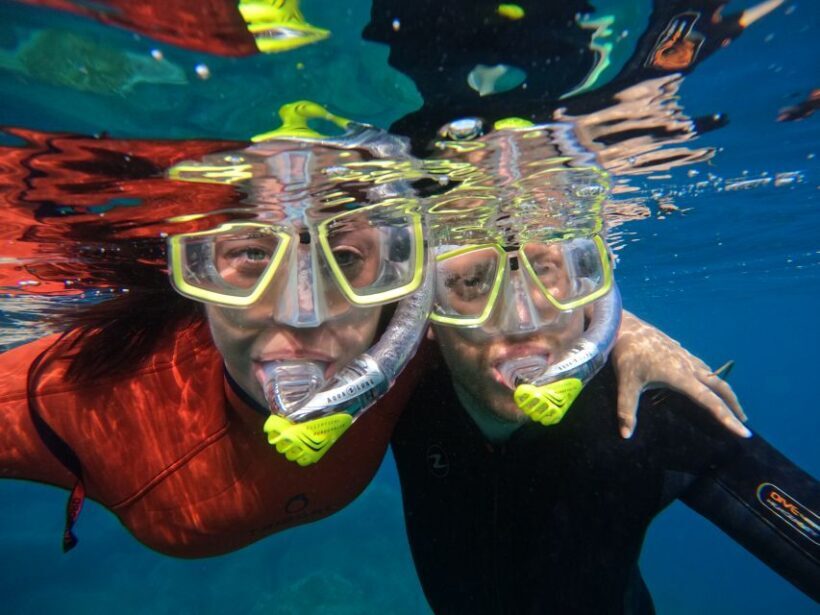 Gran Canaria: Snorkel tour with boat on the west coast - Practical Details and Tips