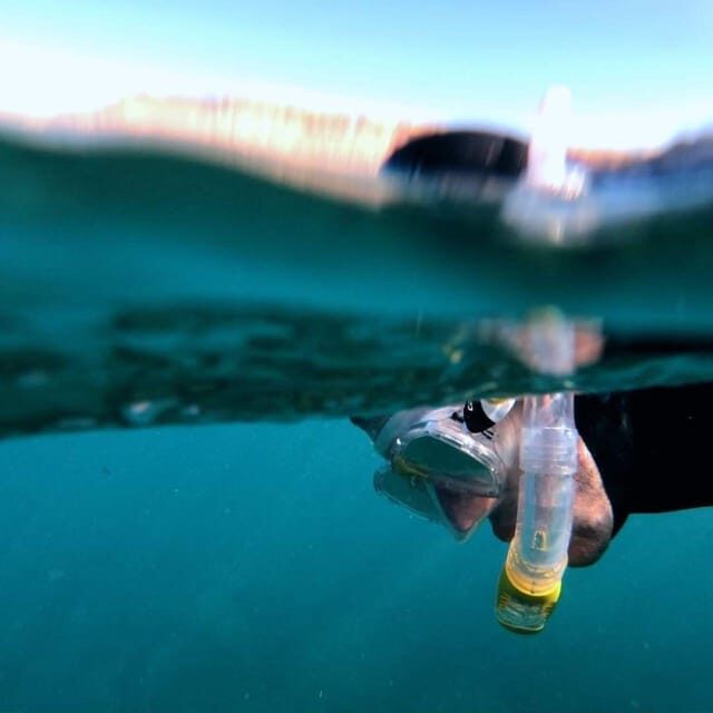 Gran Canaria: Snorkeling Trip - What Makes This Snorkeling Tour Stand Out?