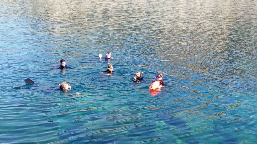 Gran Canaria: Snorkeling Trip - The Cost and Value