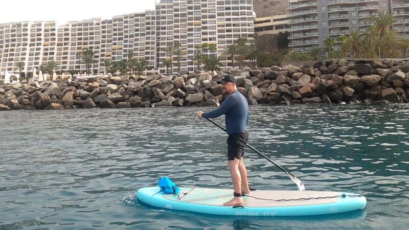 Gran Canaria : Stand Up Paddle (SUP) Tour - Encounters with Marine Life