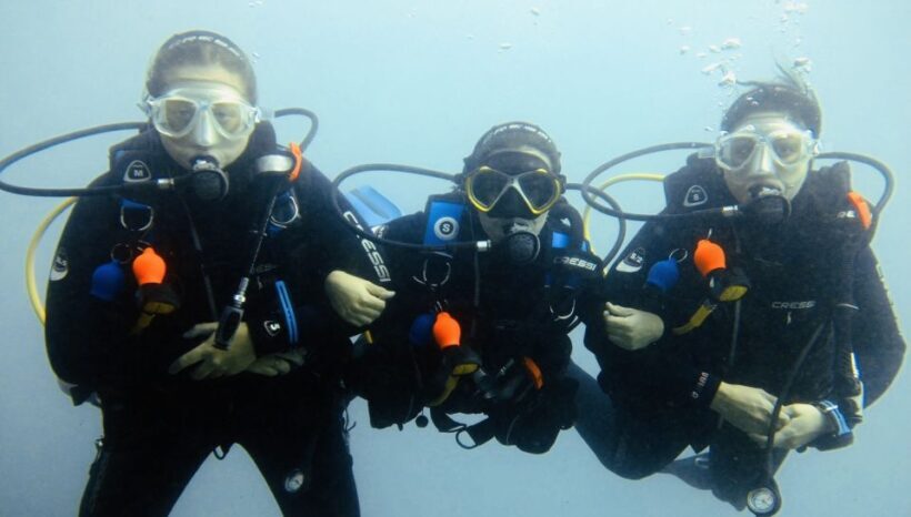Gran Canaria: Try Scuba Diving for Beginners - What’s Included and What’s Not